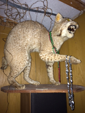 A Boy’s First Fox Hunt | Natchitoches Parish Journal