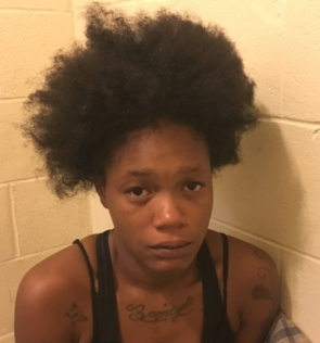 Heated brawl lands one woman in hospital and another in jail ...