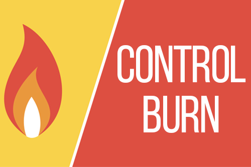 Control Burn | Natchitoches Parish Journal