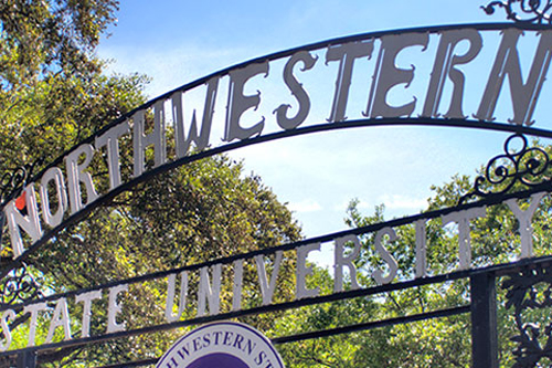 NSU Statement on Declining Enrollment, Layoffs and Budget Controls ...