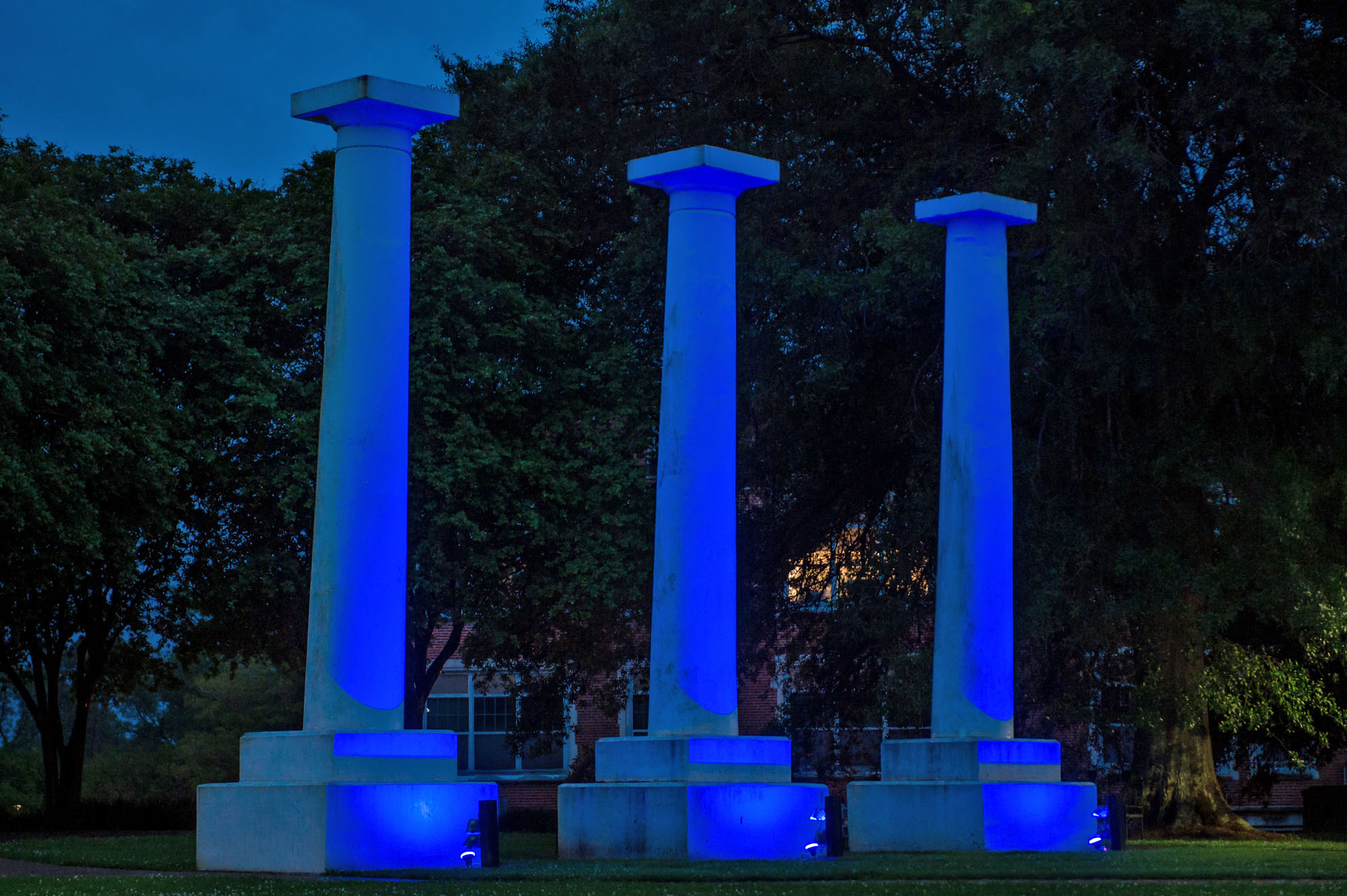 NSU Blue Columns 2020 | Natchitoches Parish Journal