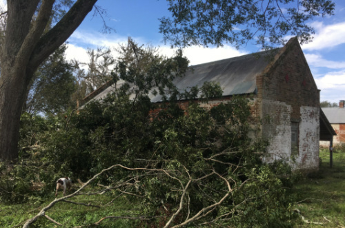 Cane River Creole National Historical Park Works to Repair Storm Damage ...
