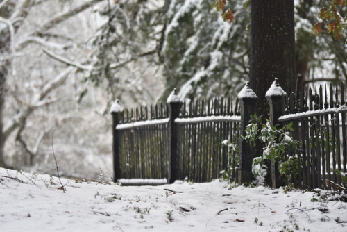 A Rare Treat in Natchitoches – Snow! | Natchitoches Parish Journal