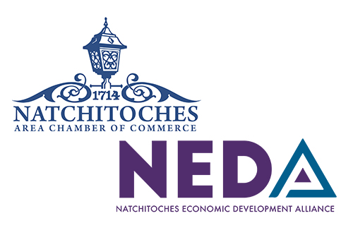 Neda Logo 2022