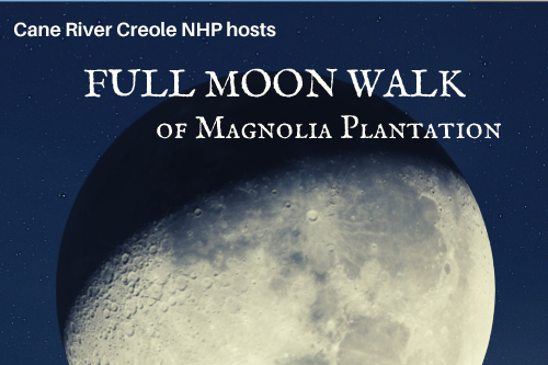 Full Moon Walk: Magnolia by Moonlight | Natchitoches Parish Journal