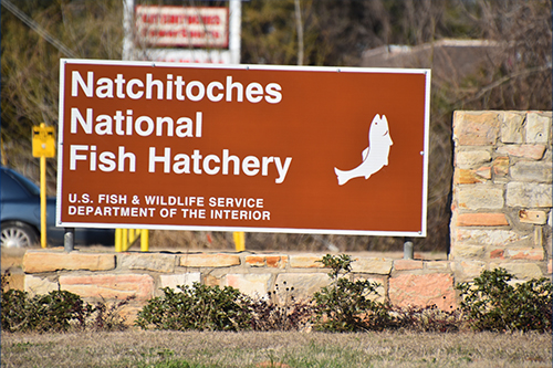 Natchitoches National Fish Hatchery: Cane River Lake Statement ...