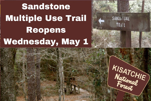 Kisatchie announces reopening of Sandstone Trail | Natchitoches Parish ...
