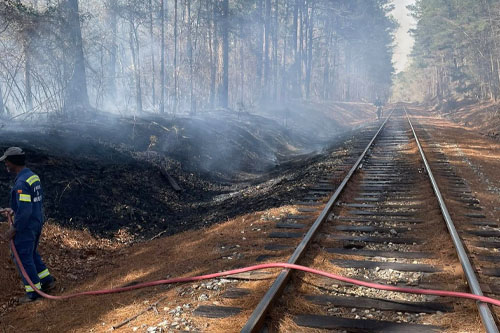 Multiple agencies respond to grass fire on Hwy. 480 near Natchitoches ...